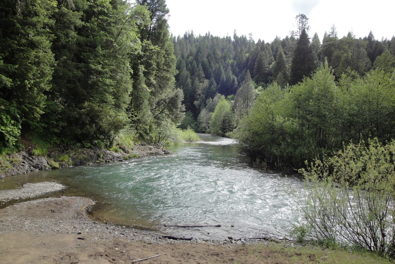 Forest Springs - Photo Gallery