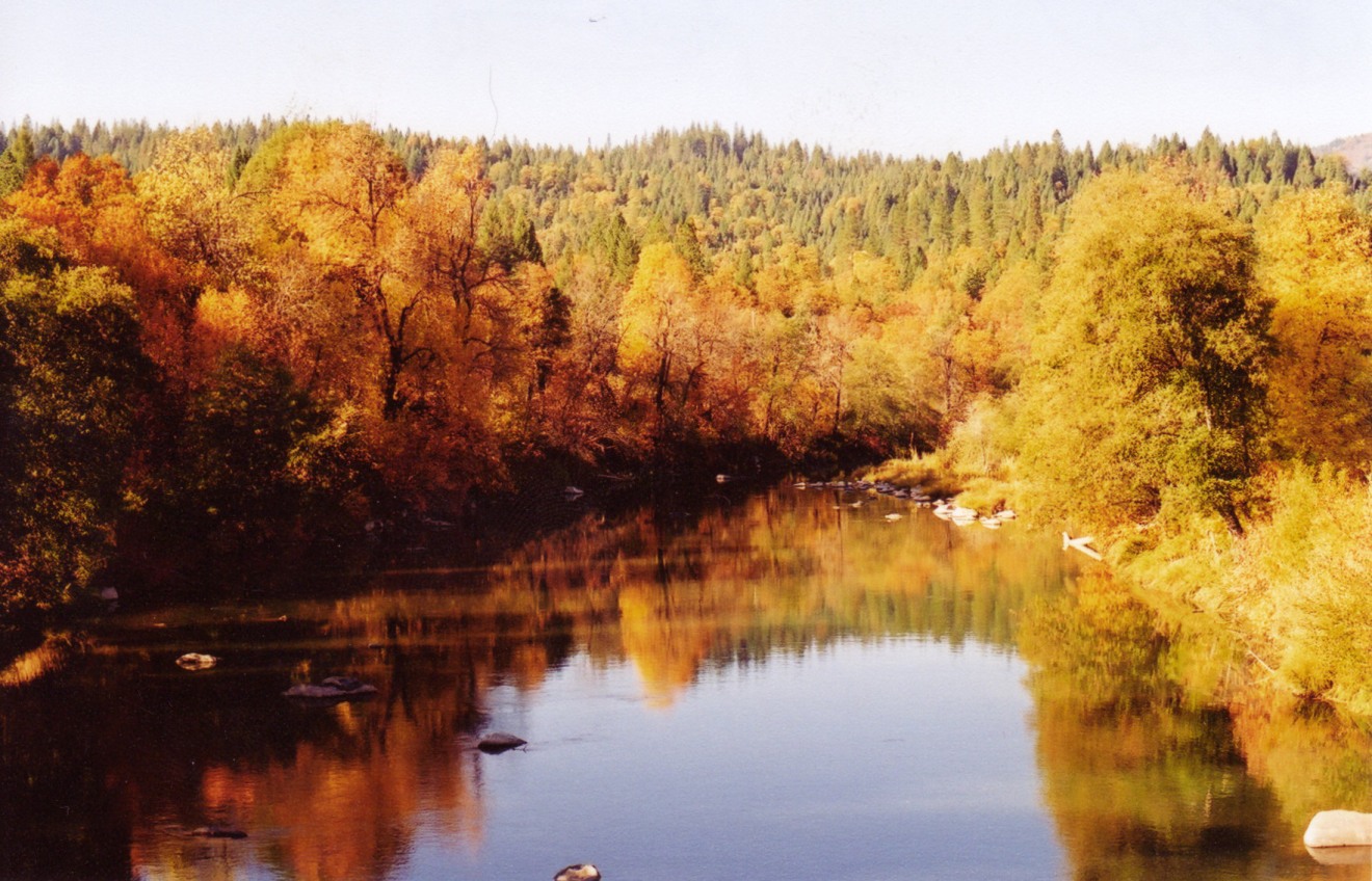 Forest Springs - Photo Gallery